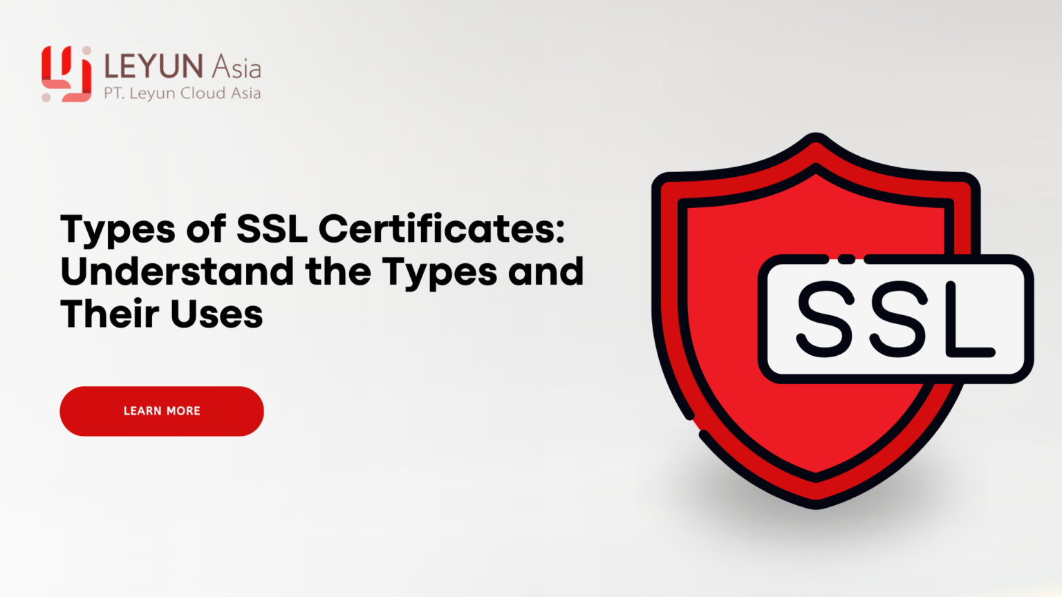 Types of SSL Certificates: Understand the Types and Uses