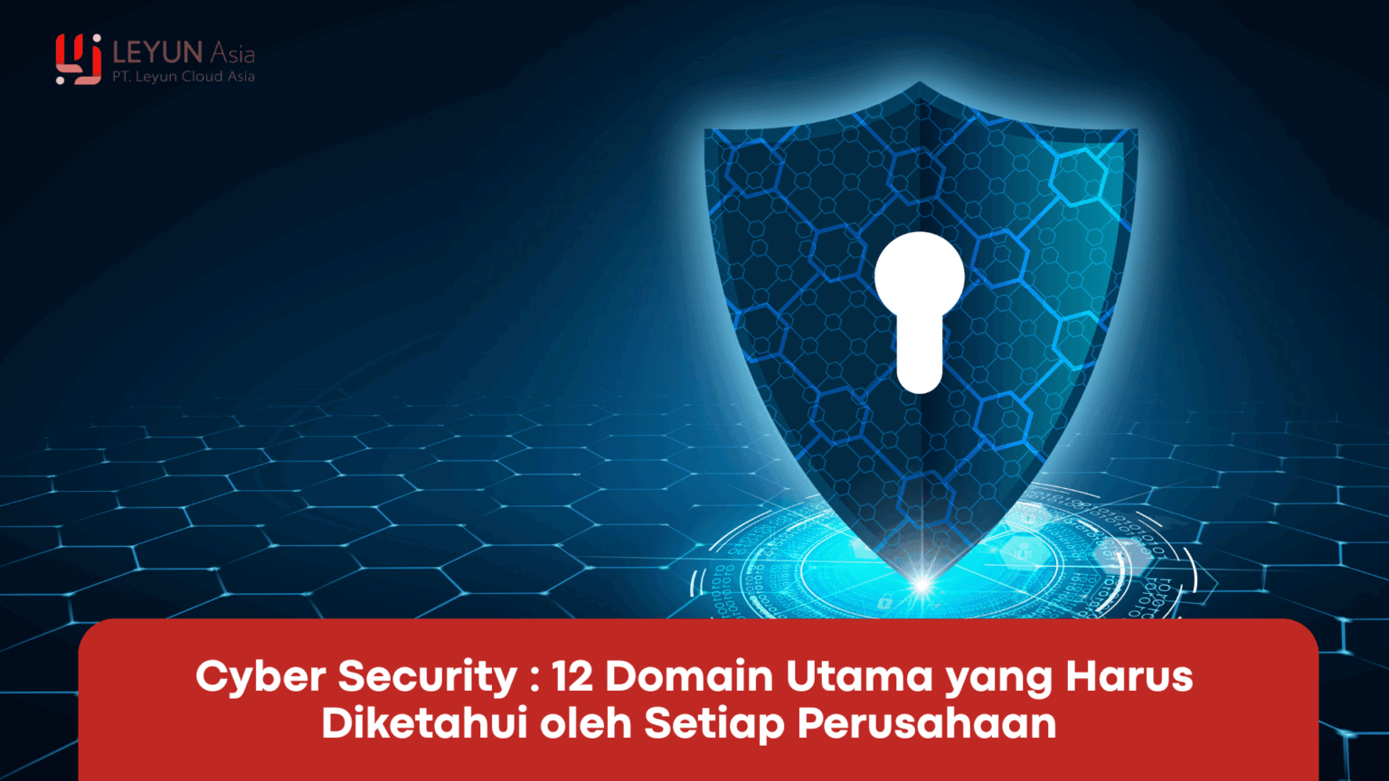 12 Domain Utama Cyber Security yang Harus Diketahui oleh Setiap Perusahaan